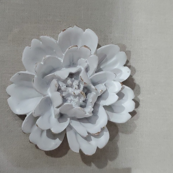 Wall Decor | Botanical Shadow Box Wall Decor | Poshmark